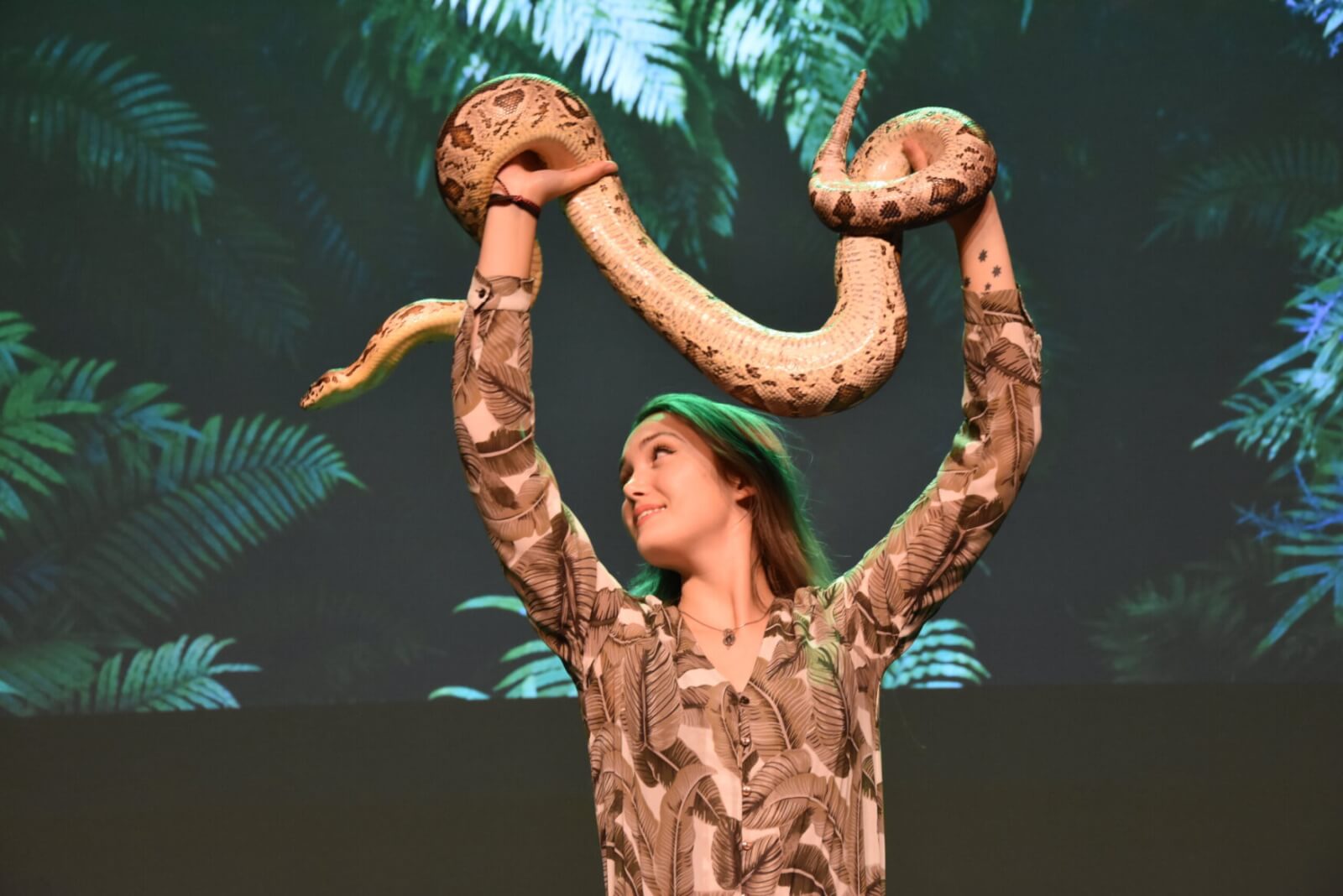 Sterrin's Reptielenreis - Jan van Besouw